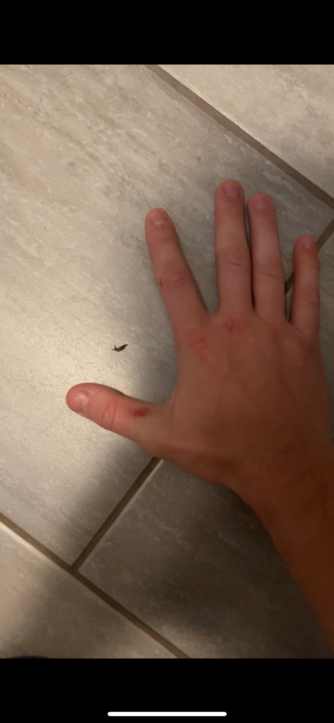 Smallest slug I’ve ever seen | Scrolller