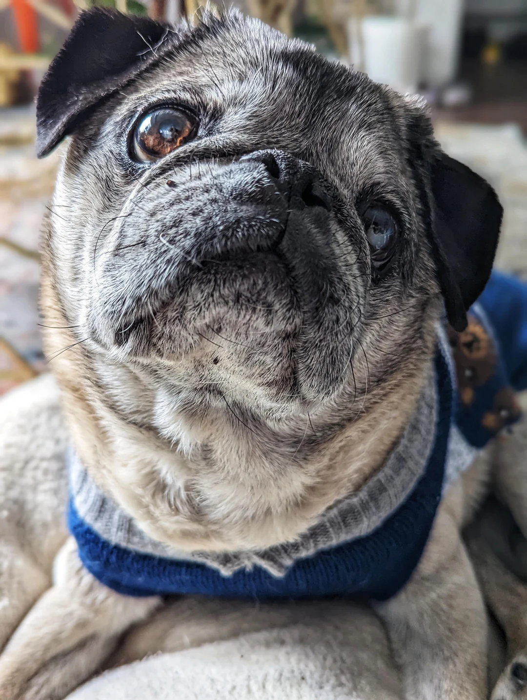 Dublin (13) | Scrolller