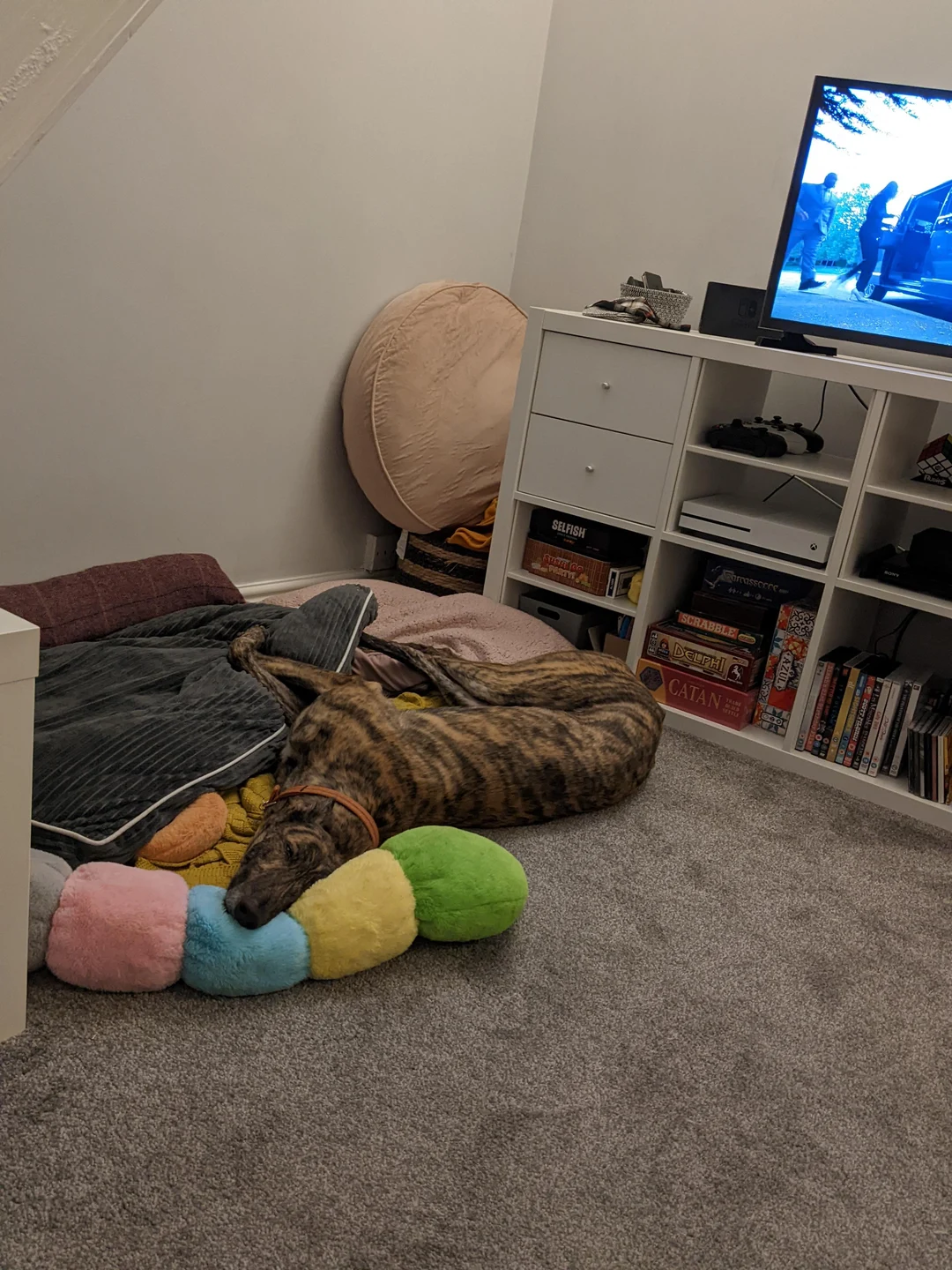 A classic bed fail | Scrolller