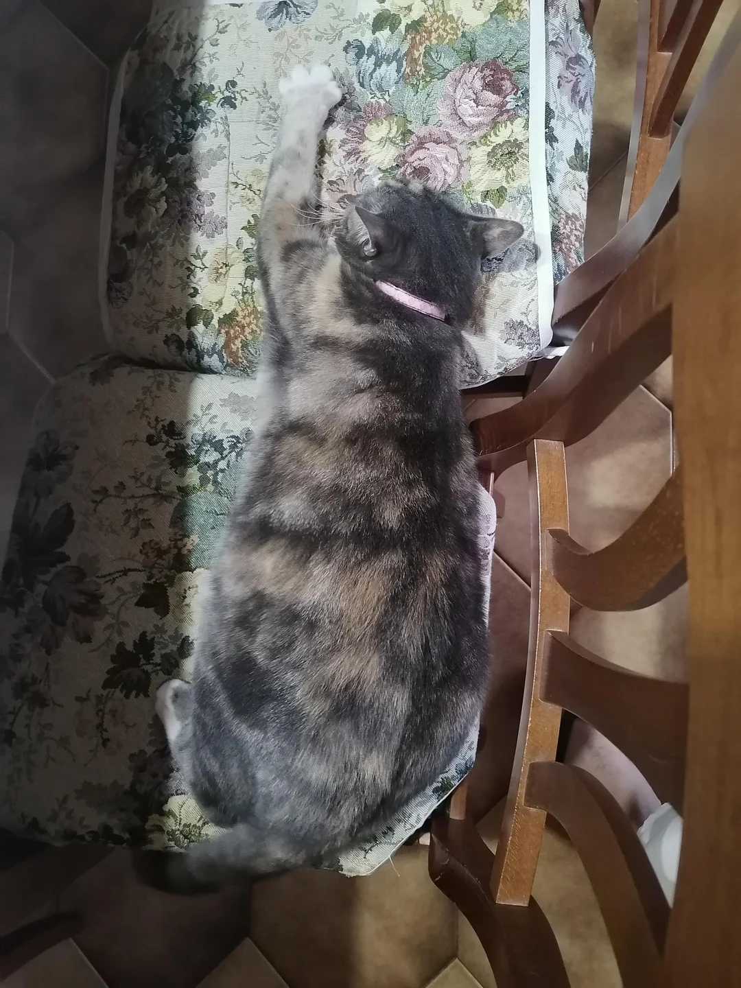 Long Loaf | Scrolller