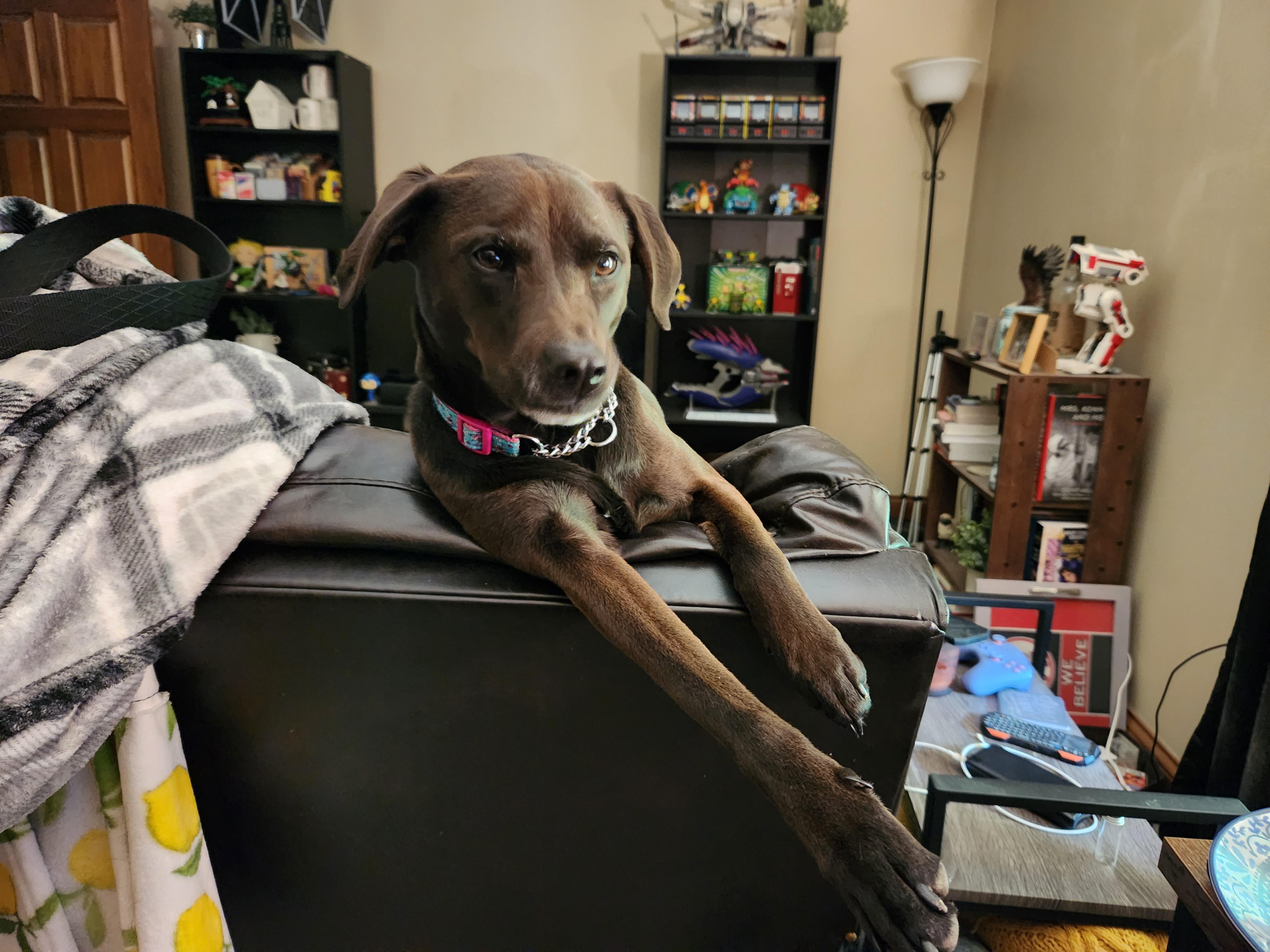 I'm not sure how to feel about her smugness right now. | Scrolller