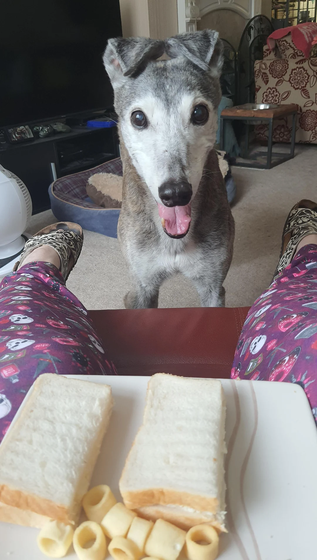 What do you think your doing eating my sammich! Mia 💗 | Scrolller