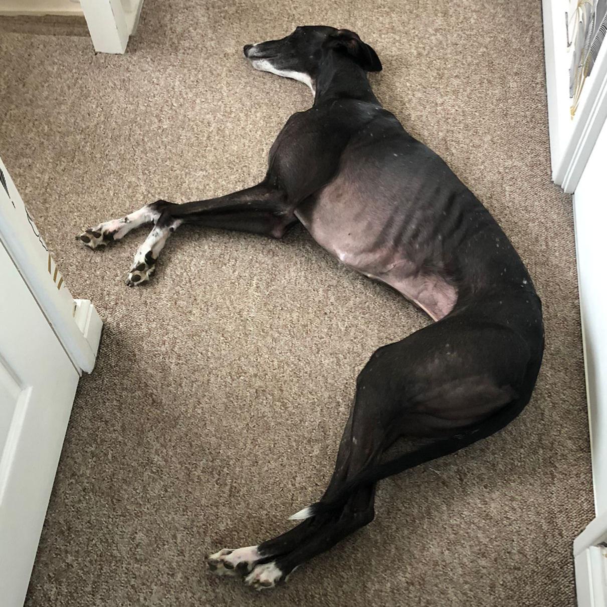 Crime scene | Scrolller