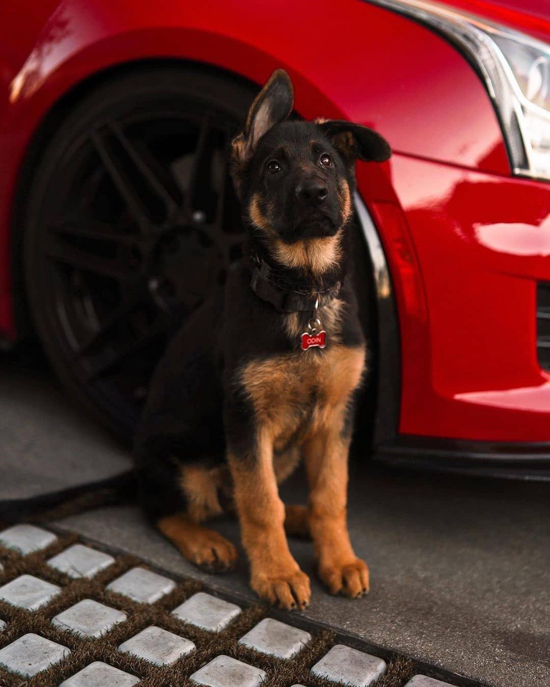 Work in progress (OC) | Scrolller