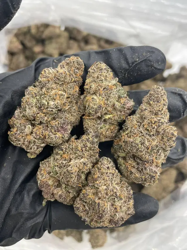 Grape Drank | Scrolller