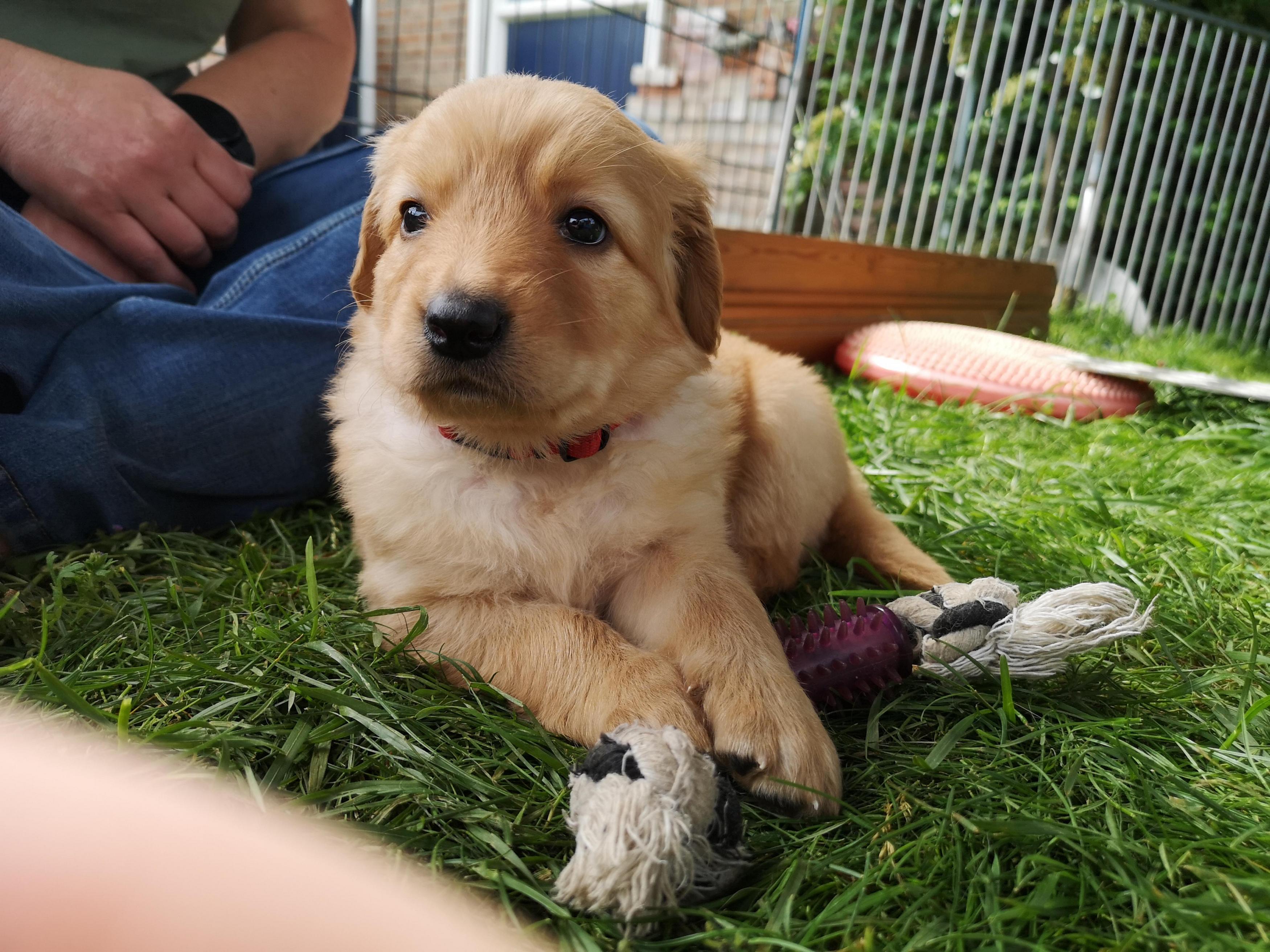 Help me decide on a girl name with the G! | Scrolller