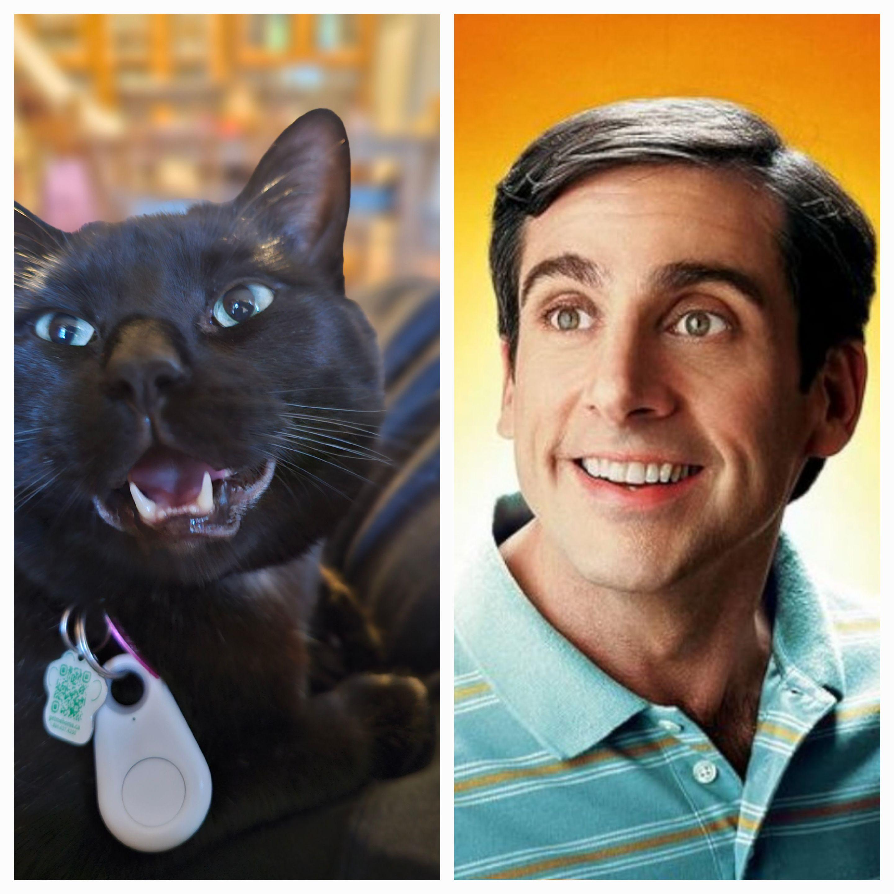 Show your void and their "twin" | Scrolller