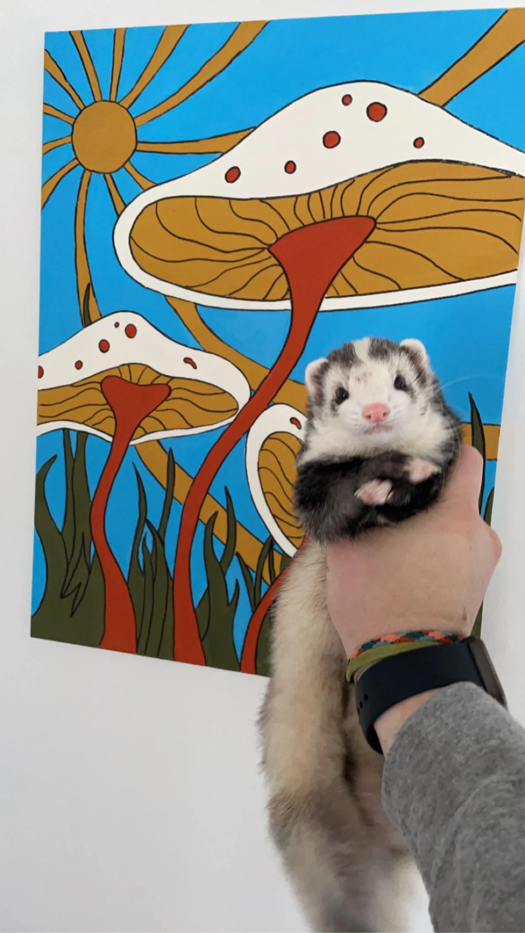 Meet Goose (He is the ferret, not the painting) | Scrolller