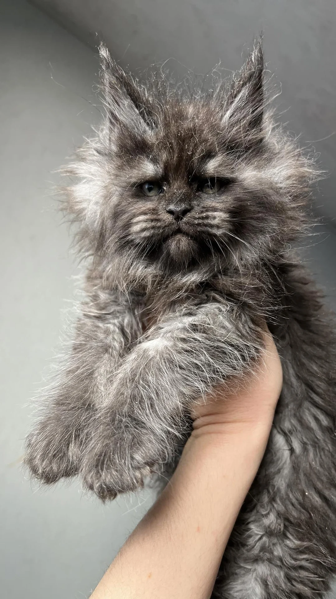 King Apollo ️ | Scrolller