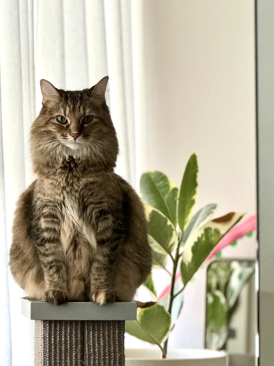 First thing I see in the morning. What’s she thinking? | Scrolller