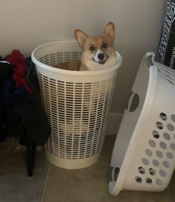 She's stuck... but proud of herself. | Scrolller