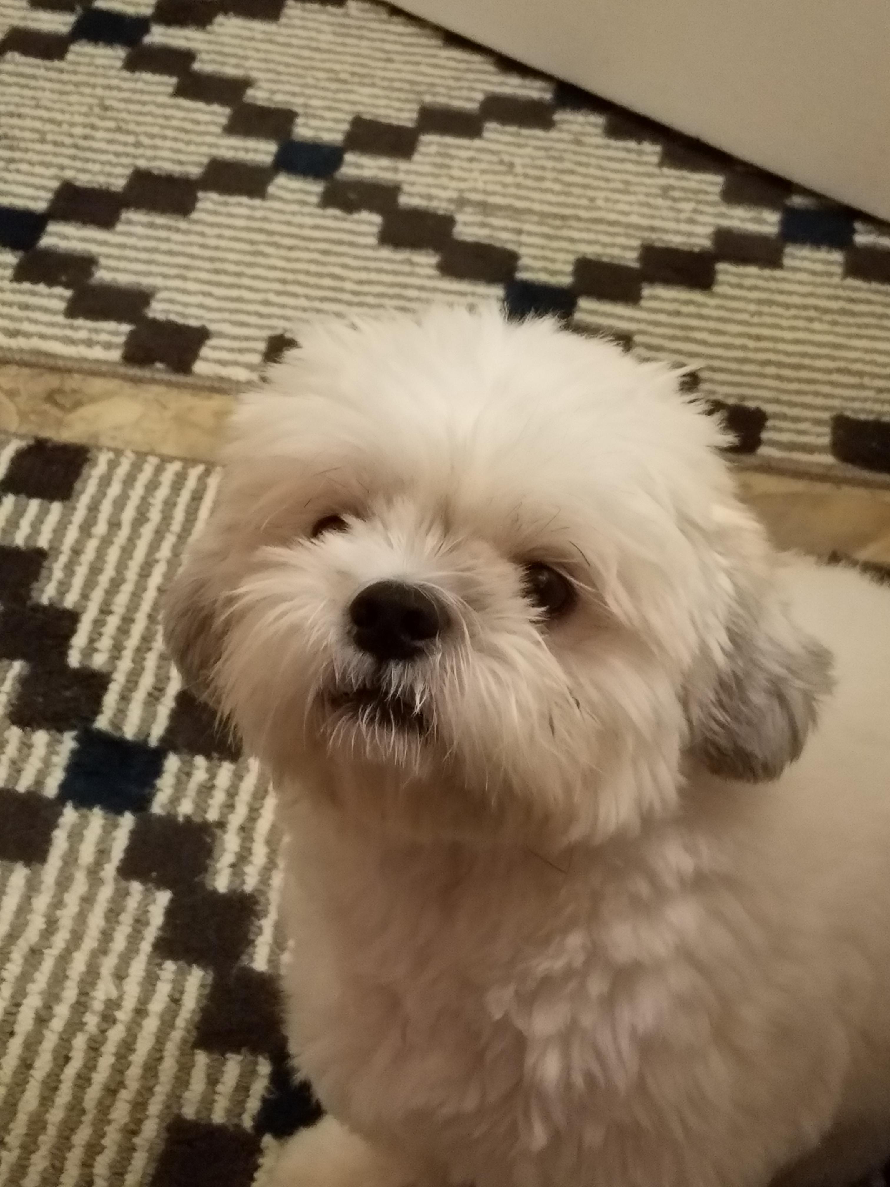 She looks like she is contemplating life. | Scrolller