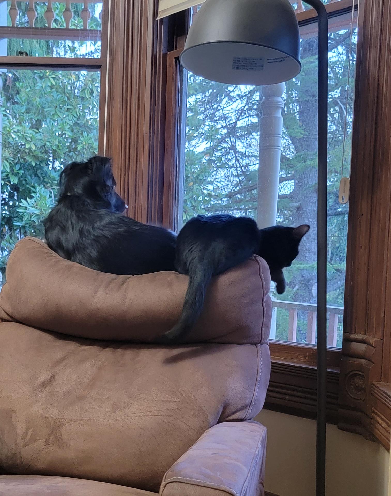 Best buds | Scrolller