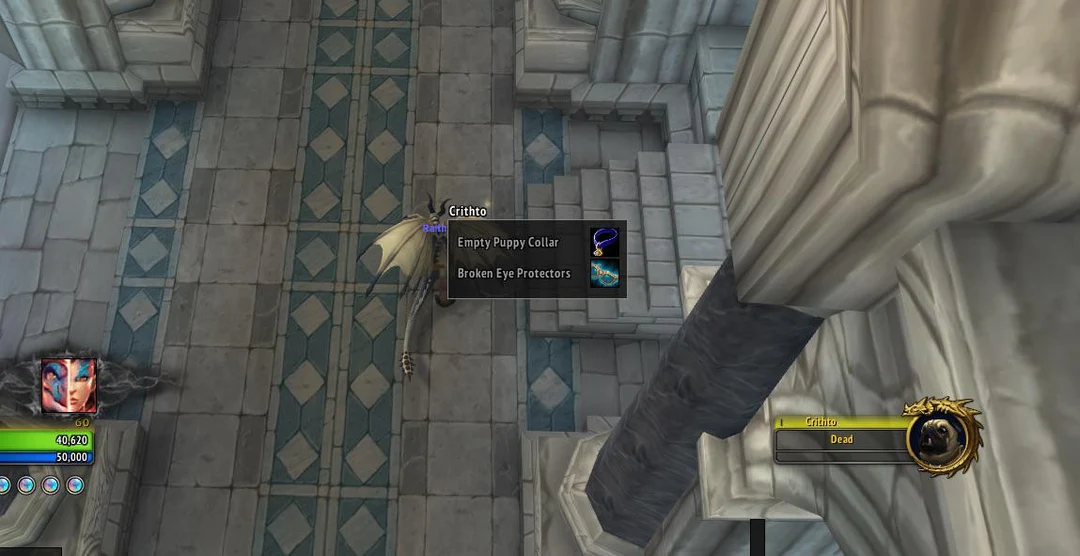 Oh my god I accidentally killed the dog in Stormwind Keep | Scrolller