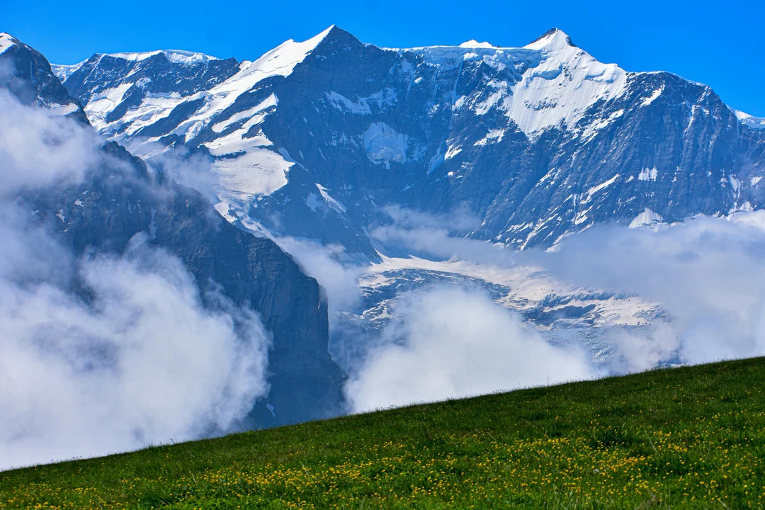 Meadow overlooking the Swiss Alps, Grindelwald, Switzerland [OC] [6000 X 4000] | Scrolller