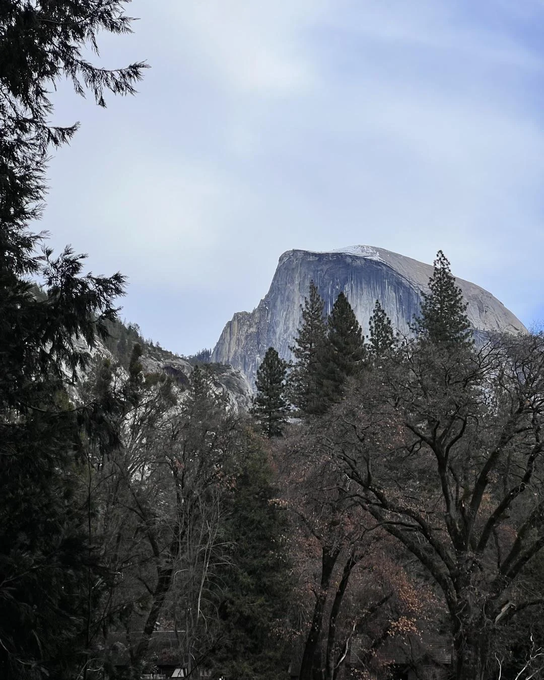 Half Dome from Lower Yosemite Falls Trail, Yosemite, California [OC] [1080x1350] | Scrolller
