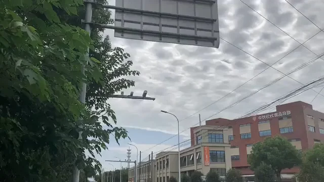 strange sky, never see the fish scale cloud | Scrolller