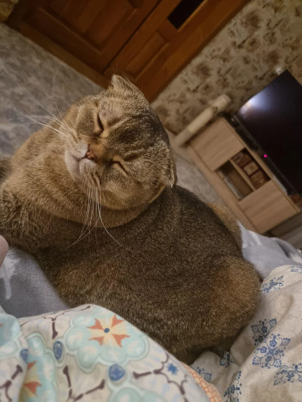 My darling) | Scrolller