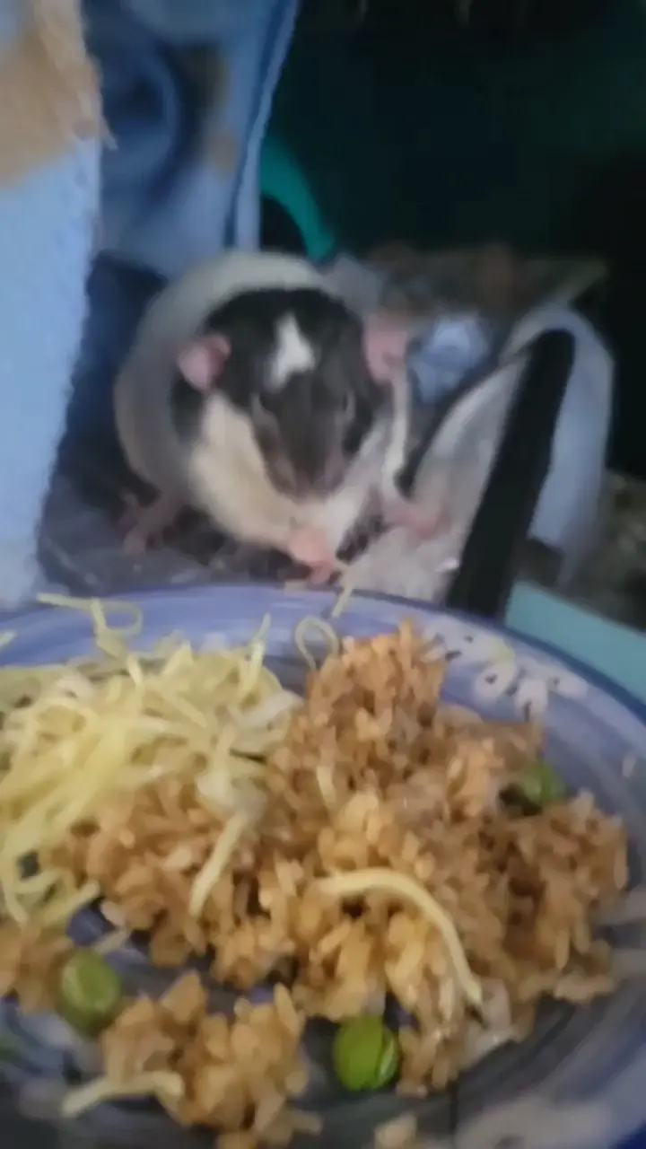 Edmond Slurp Slurps Scrolller
