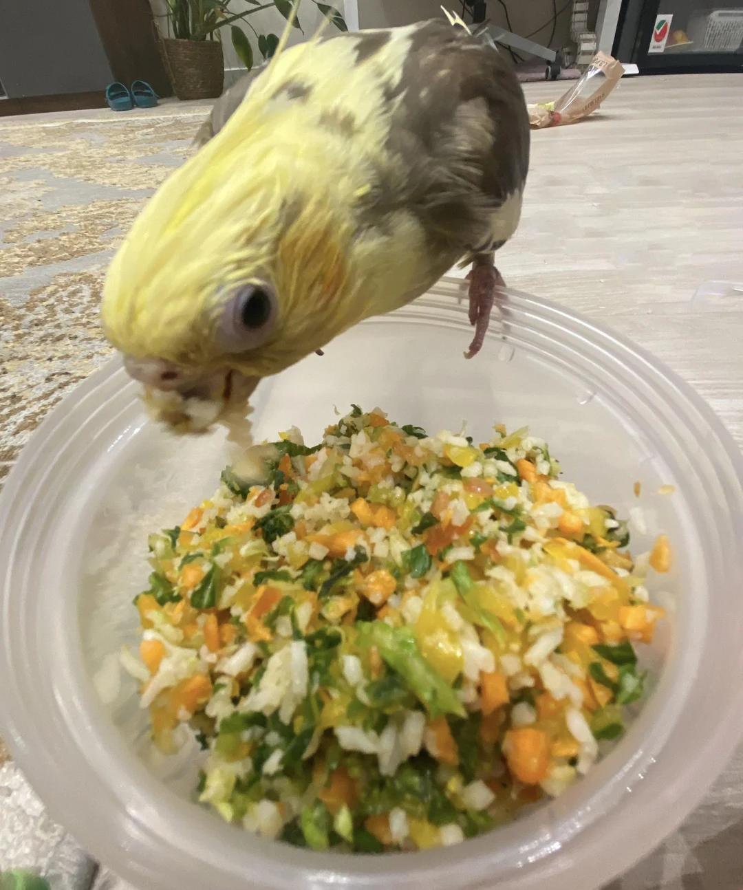 pov: youre eating with spike but he is not big on sharing | Scrolller