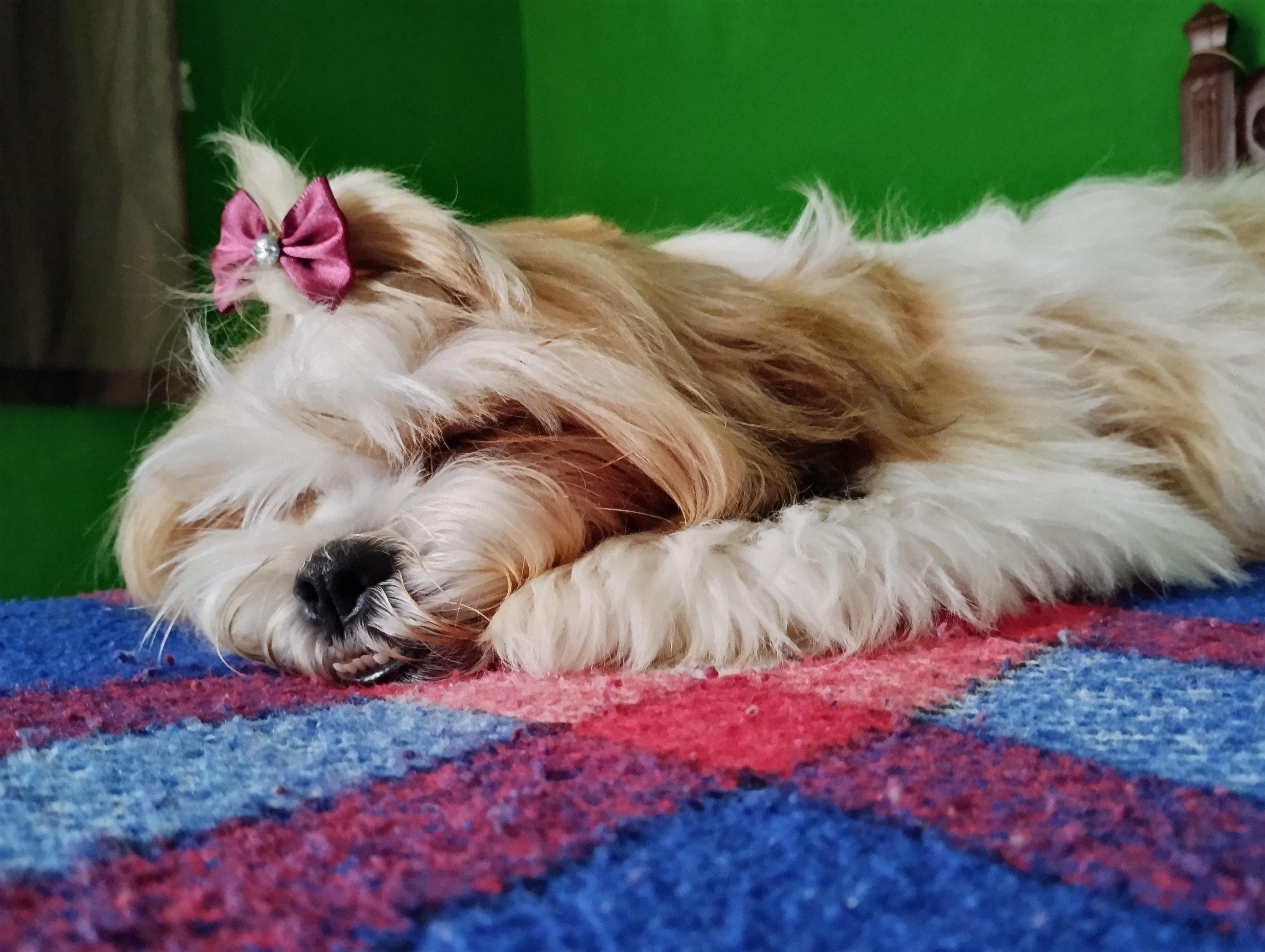 Post bath nap | Scrolller