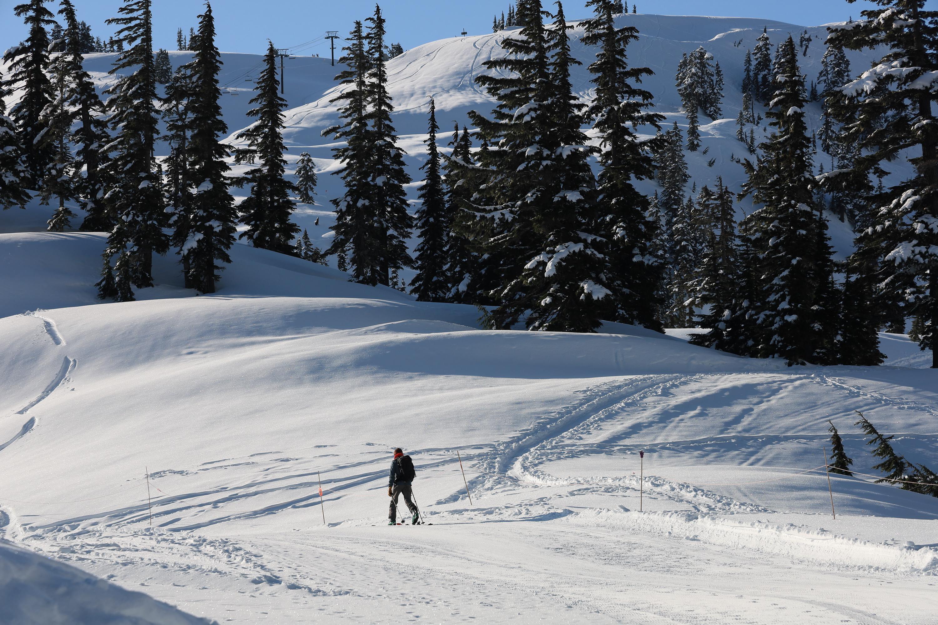 Someone cross-country skiing (I think) at Mt. Baker ski area yesterday | Scrolller