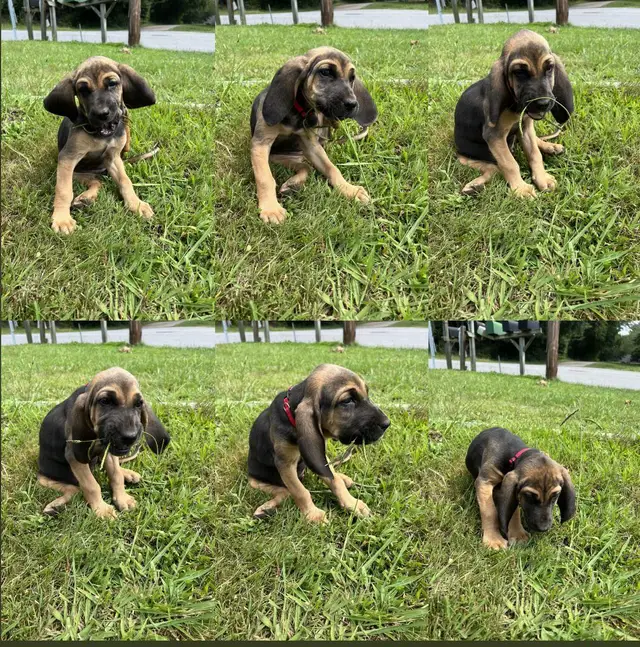 Drama is out here fighting a plant and losing | Scrolller