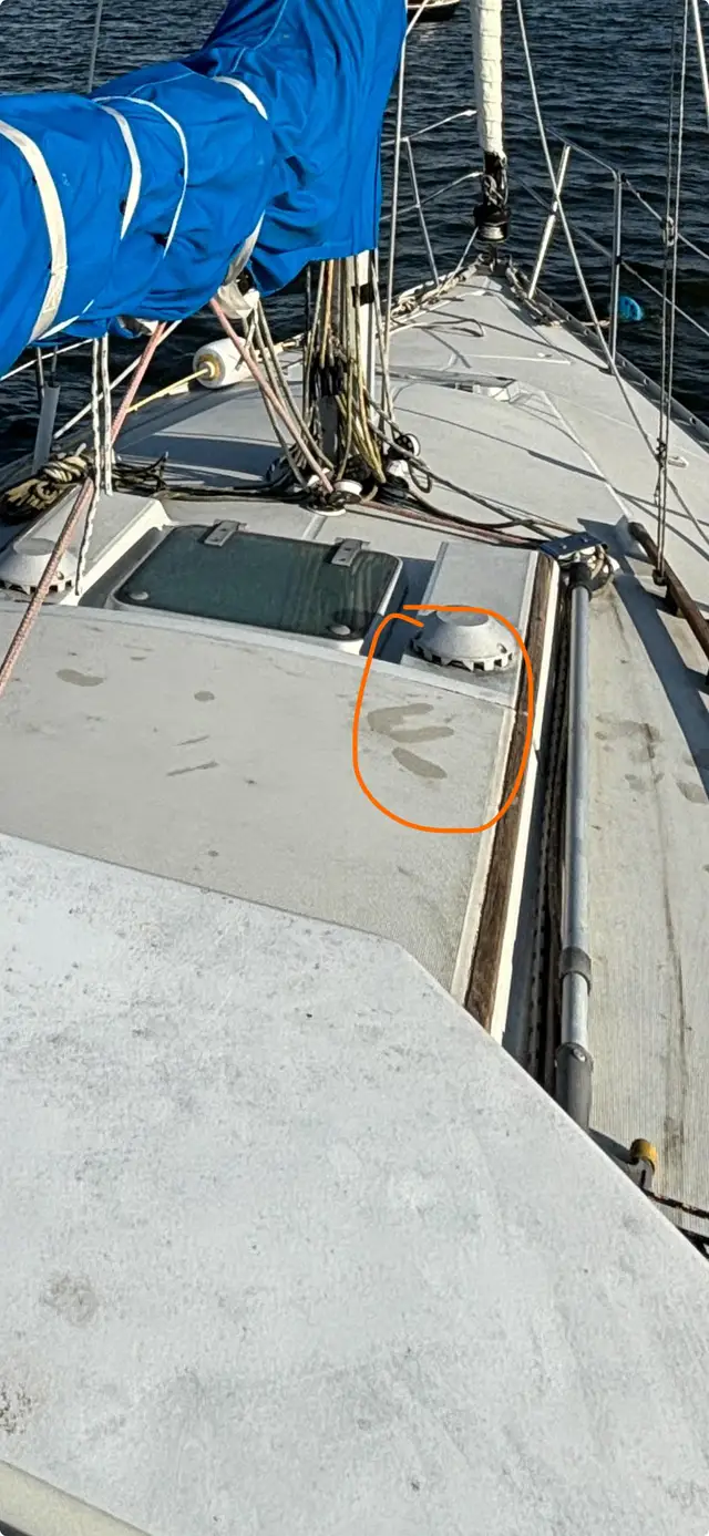 How to clean the teak oil stain on deck | Scrolller