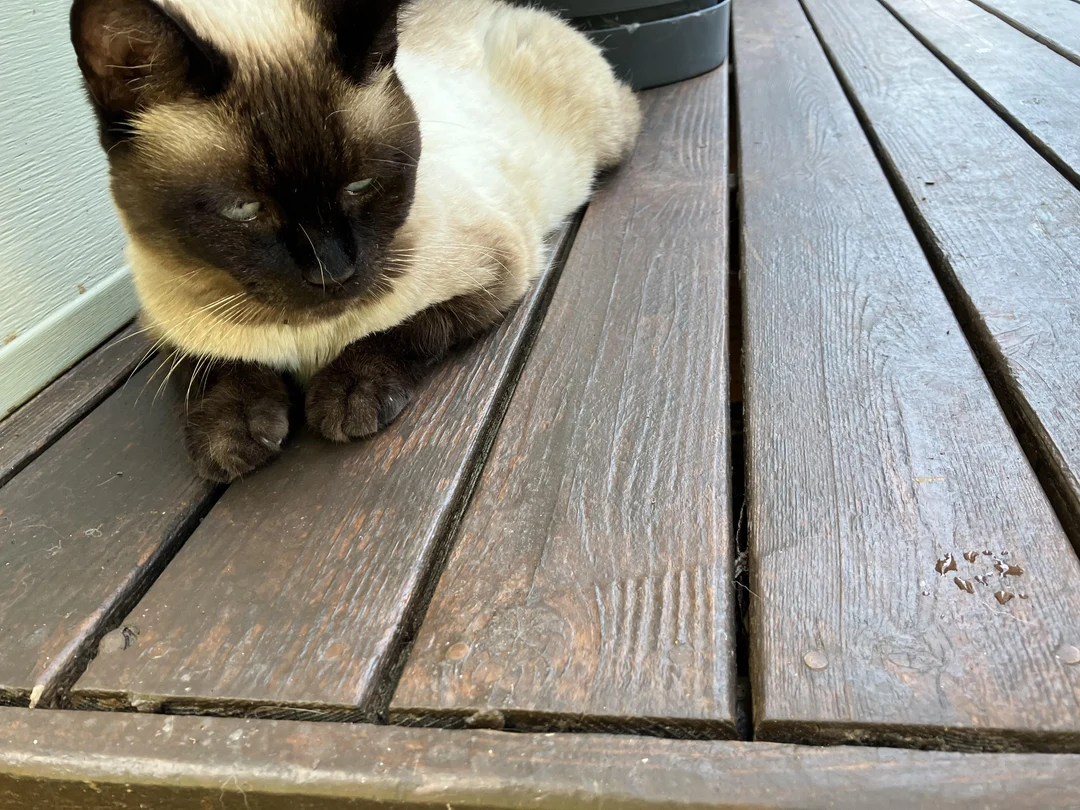 10 year old loaf | Scrolller