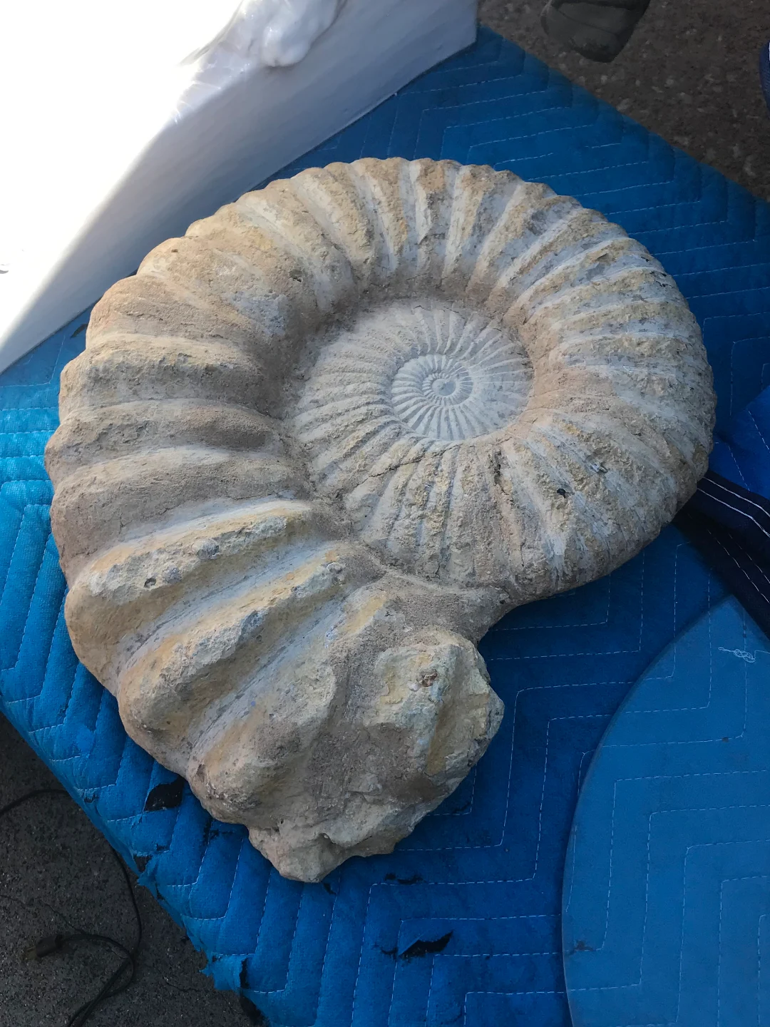 Cool rock i found | Scrolller