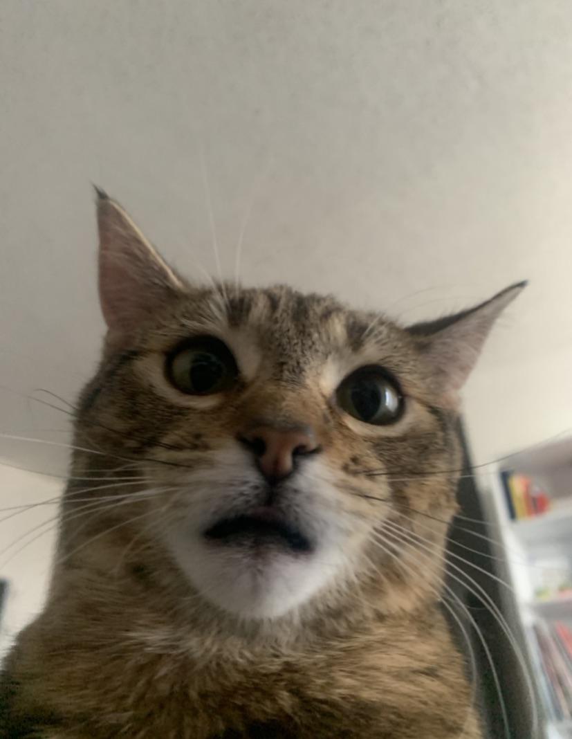 V shocked | Scrolller