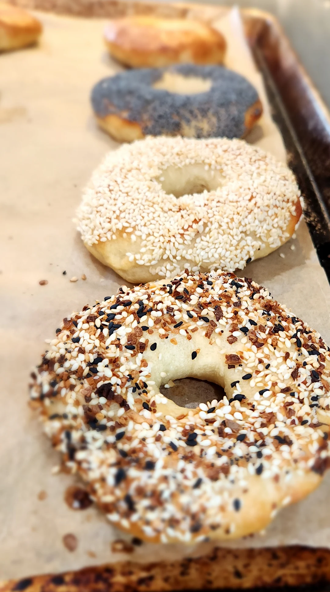Sourdough bagels | Scrolller