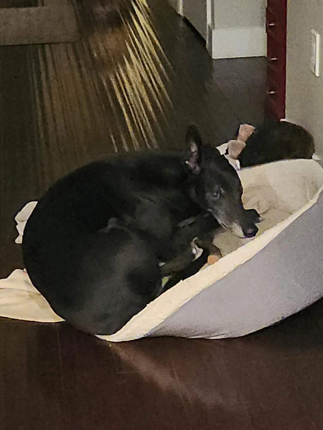 The elevated circular bed fail. Technically all in, but leeeaning 🤣 | Scrolller