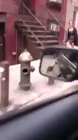 Walking a pet | Scrolller