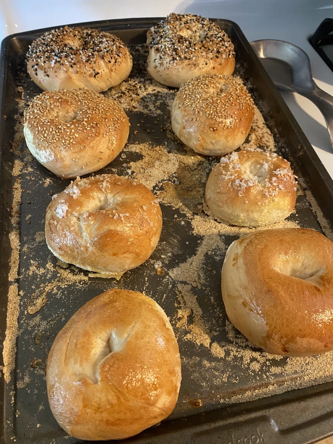 My first attempt at bagels! | Scrolller