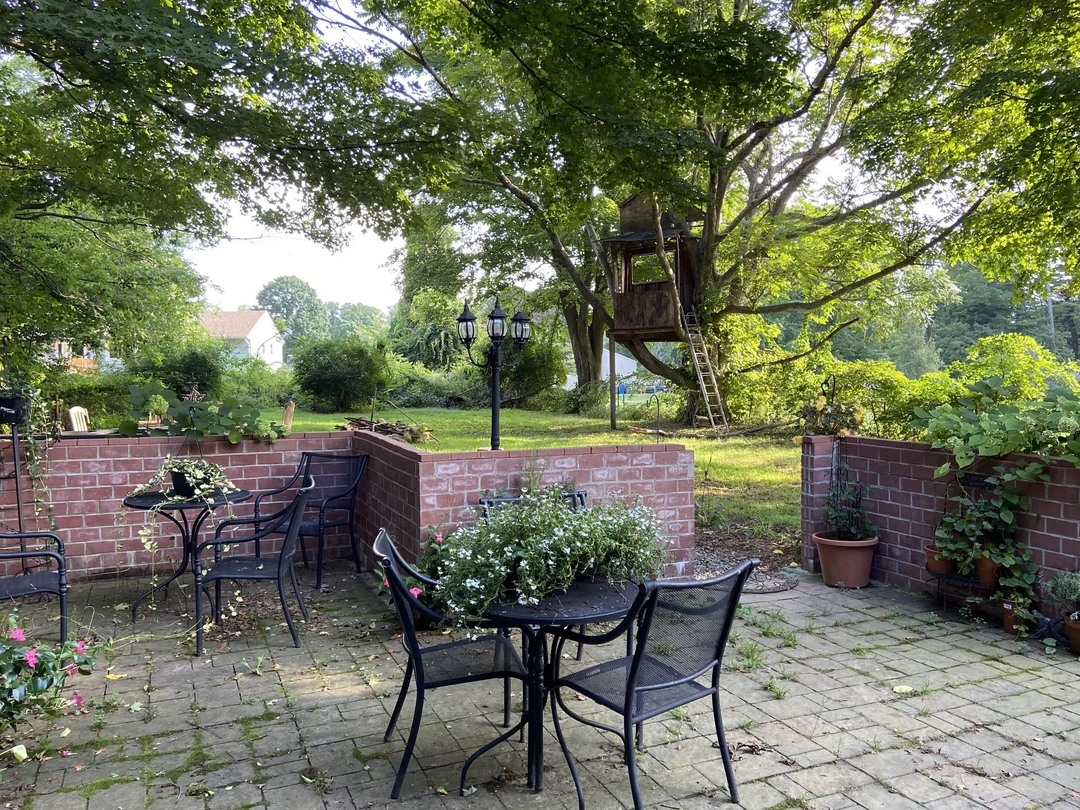 Our patio this evening | Scrolller