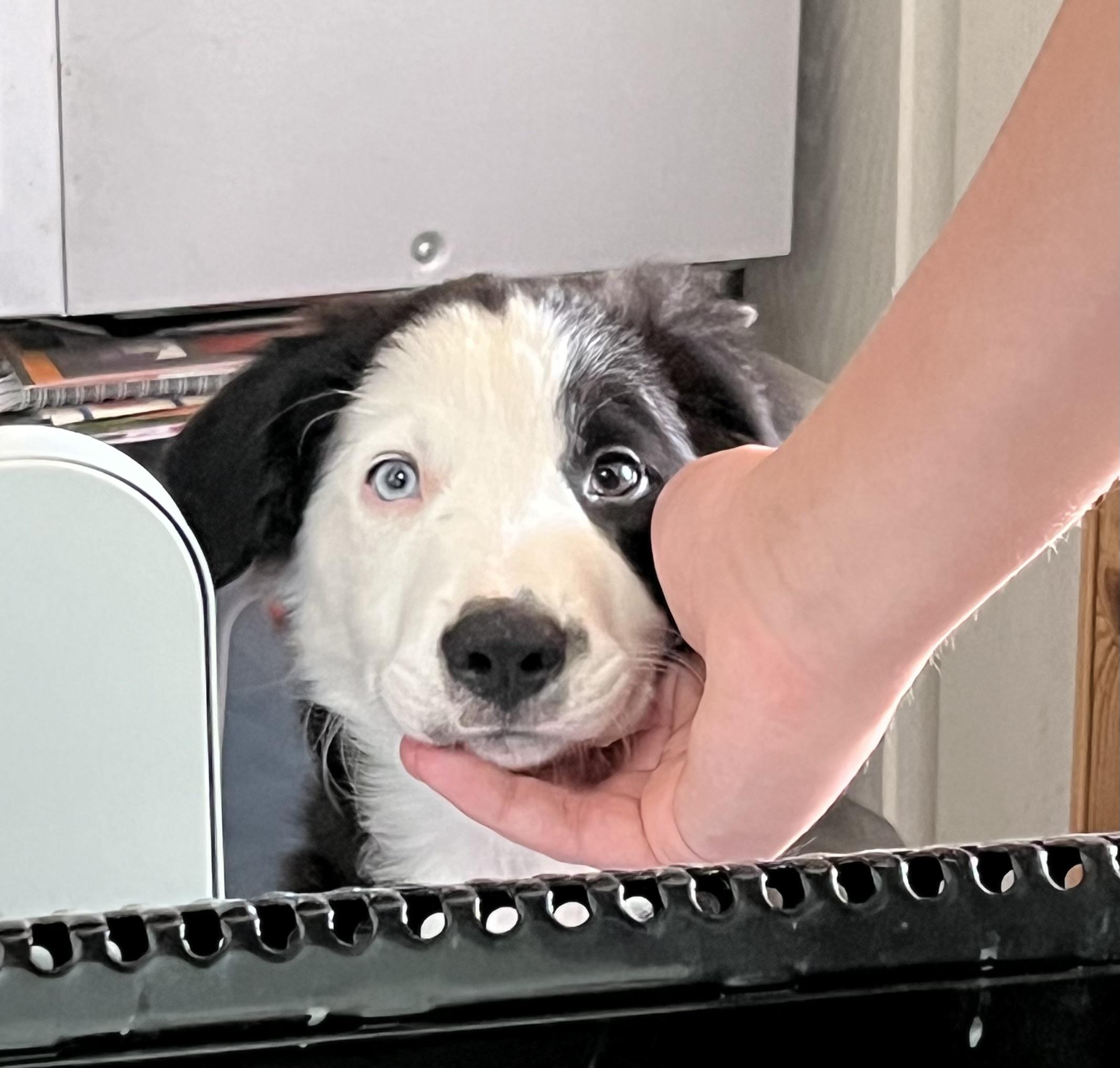 [oc] new employee at work is distracting | Scrolller