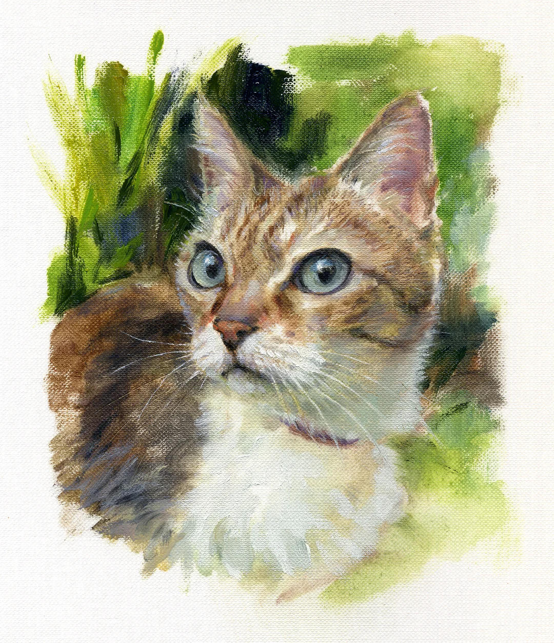 Cat by Yang Yu-Chi | Scrolller