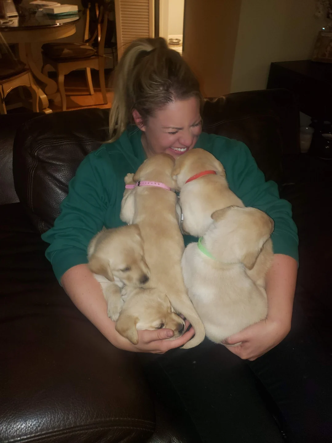 I wanna see pics of the first time you met your pup... | Scrolller