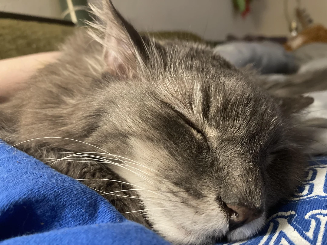 My 16 year old stinky boy | Scrolller