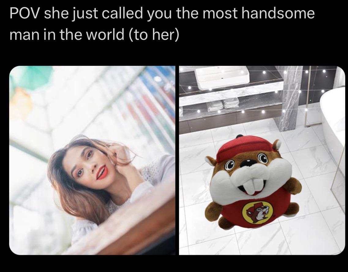 Reminder that you are a perfect little Beaver, Texans. | Scrolller