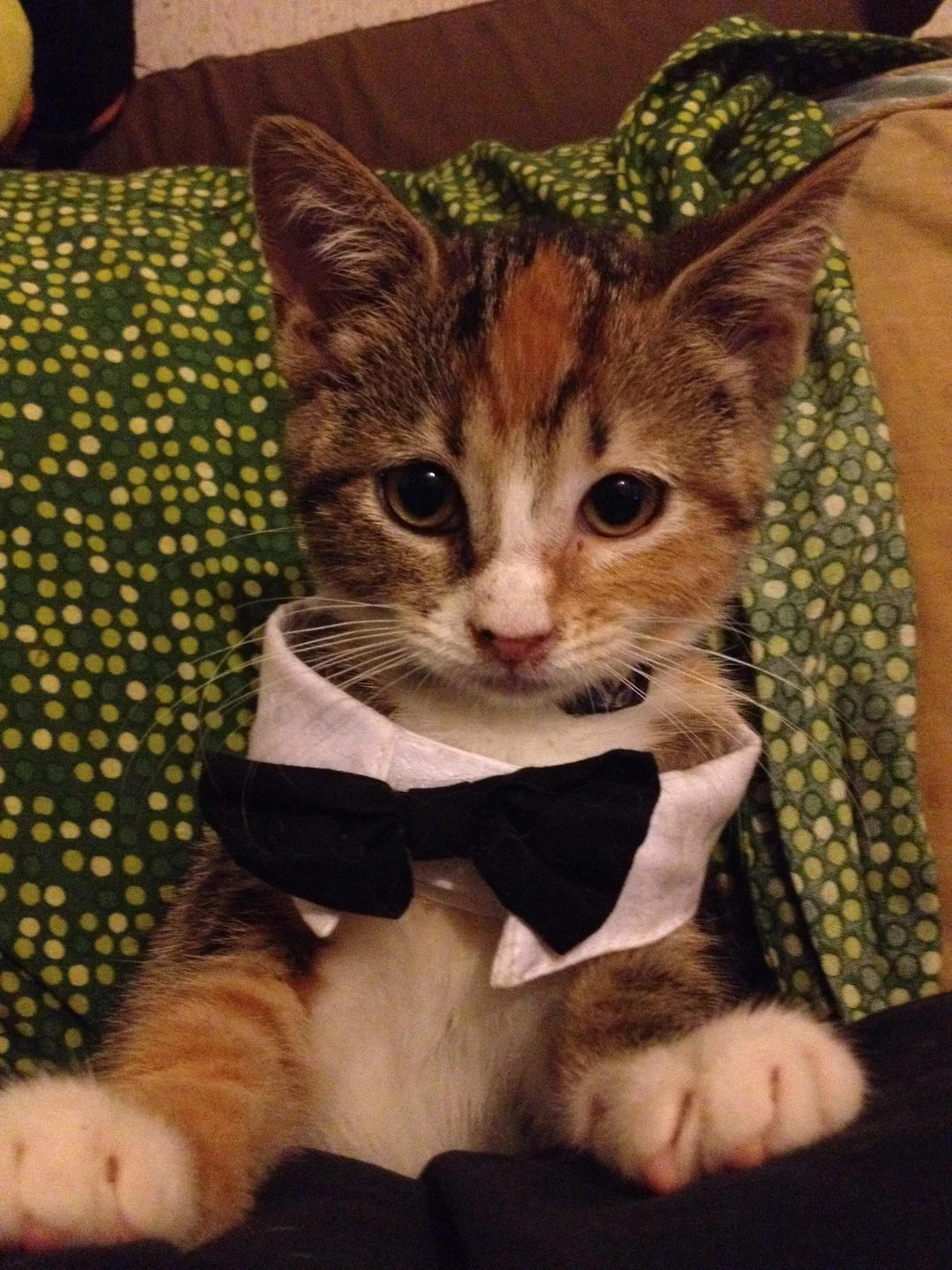 Rowan is ready for your performance review | Scrolller