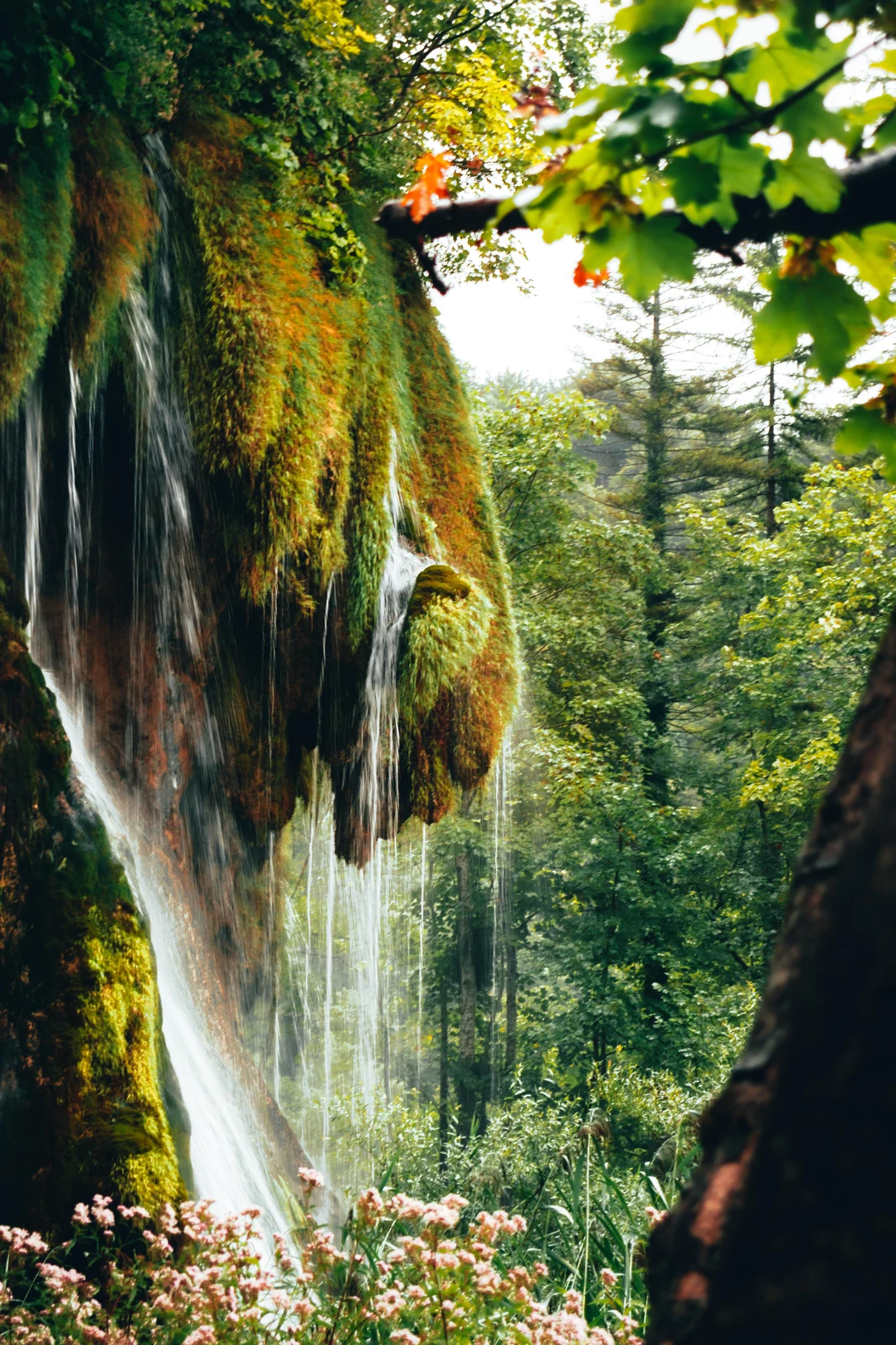 Face emerging from the waterfall, Croatia. [OC][4000x6000] | Scrolller