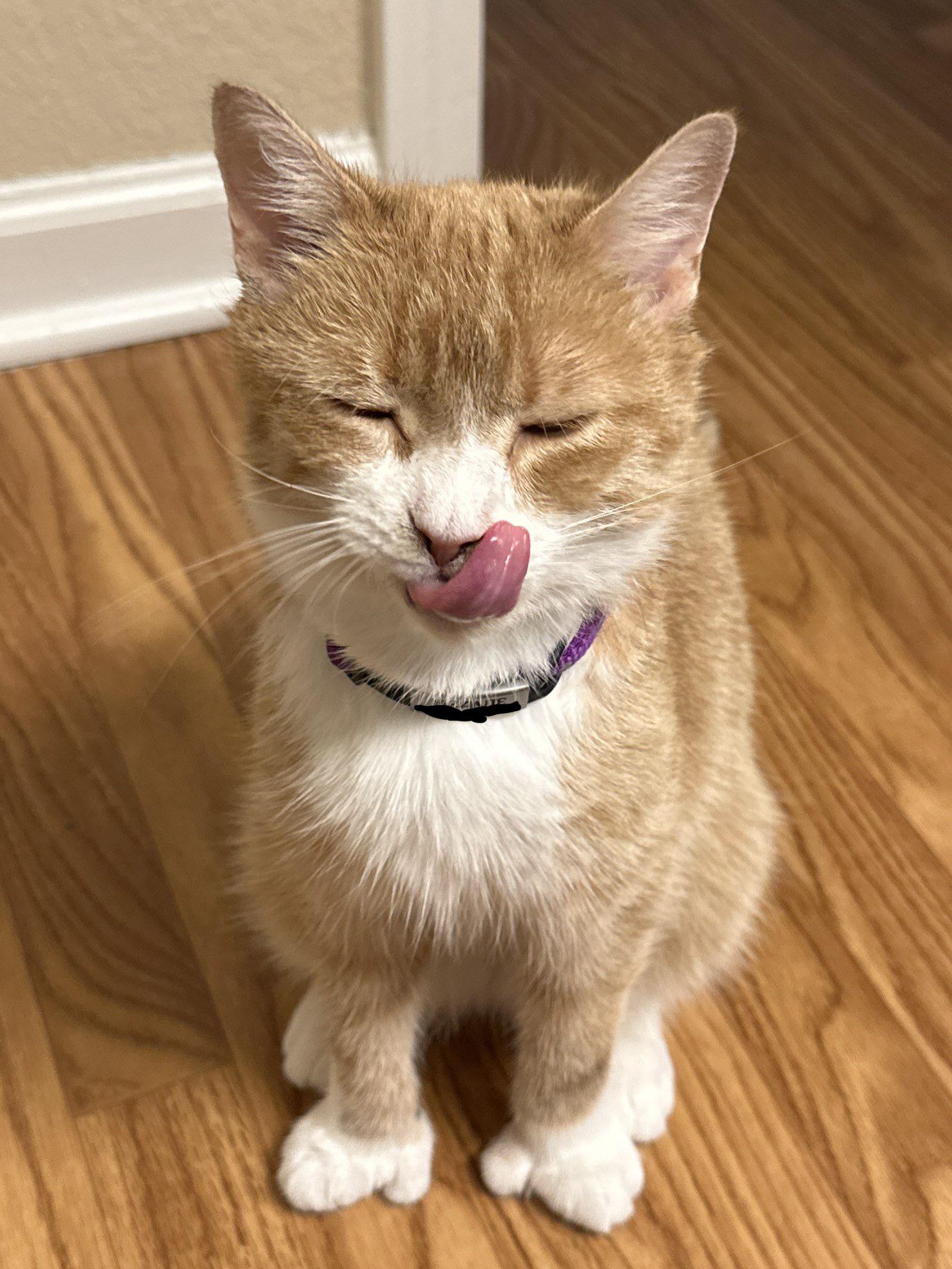 She's a little goofy | Scrolller