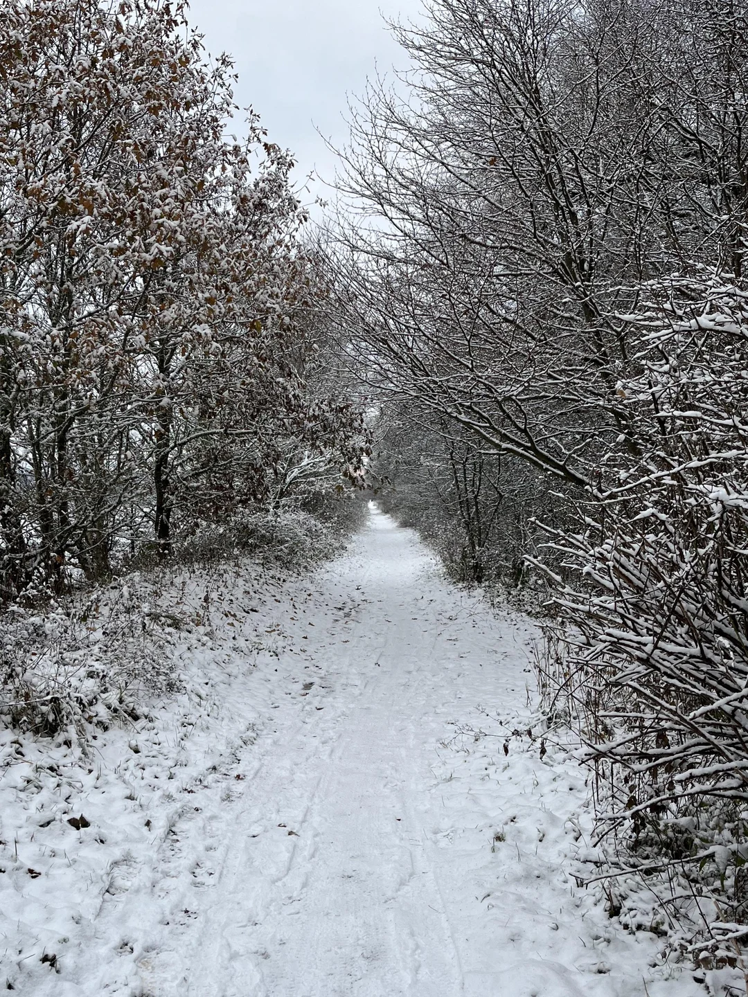 Snowy West Highland Way | Scrolller