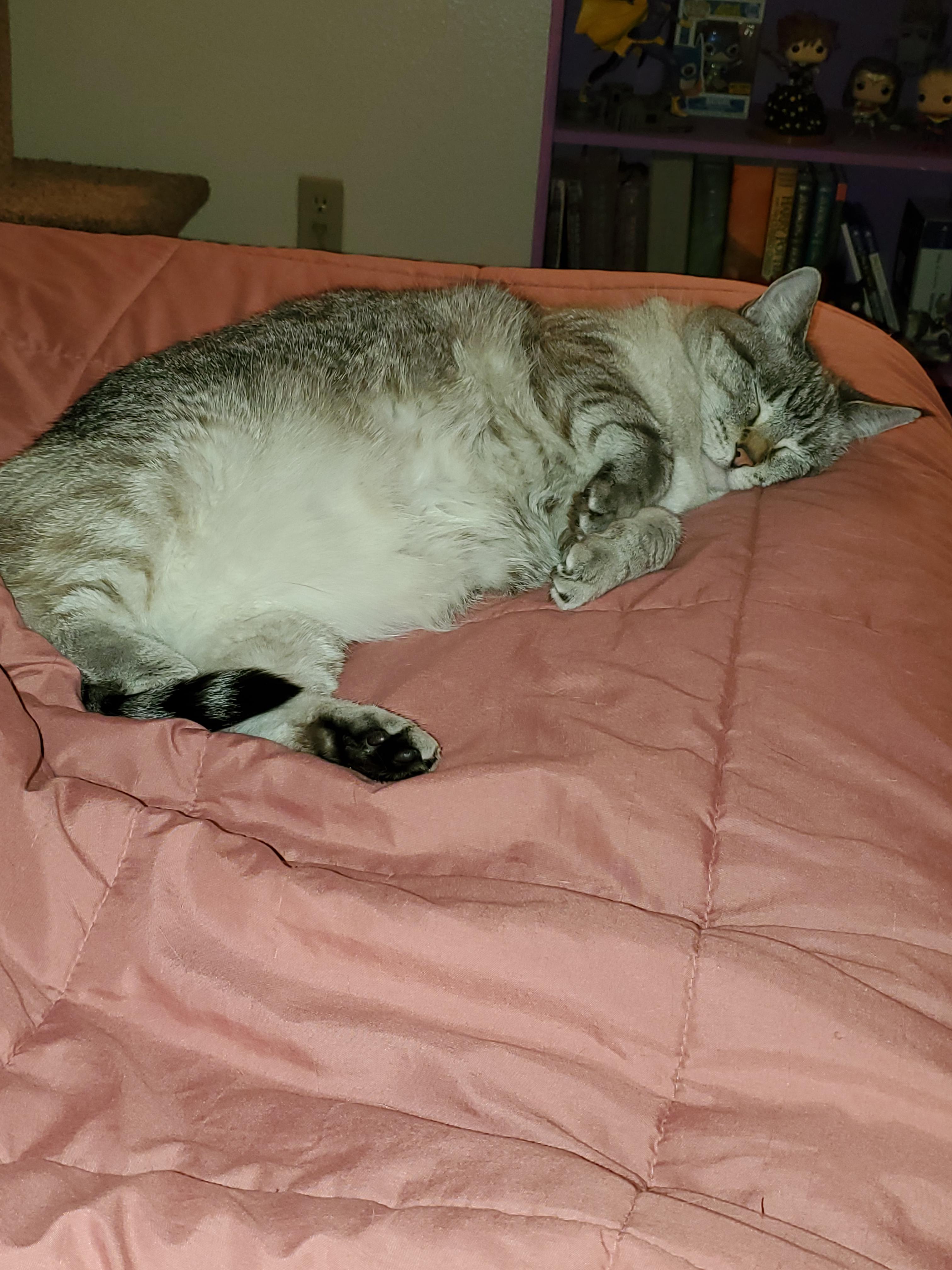 Seeing her all cozy like this gives me a serotonin boost | Scrolller