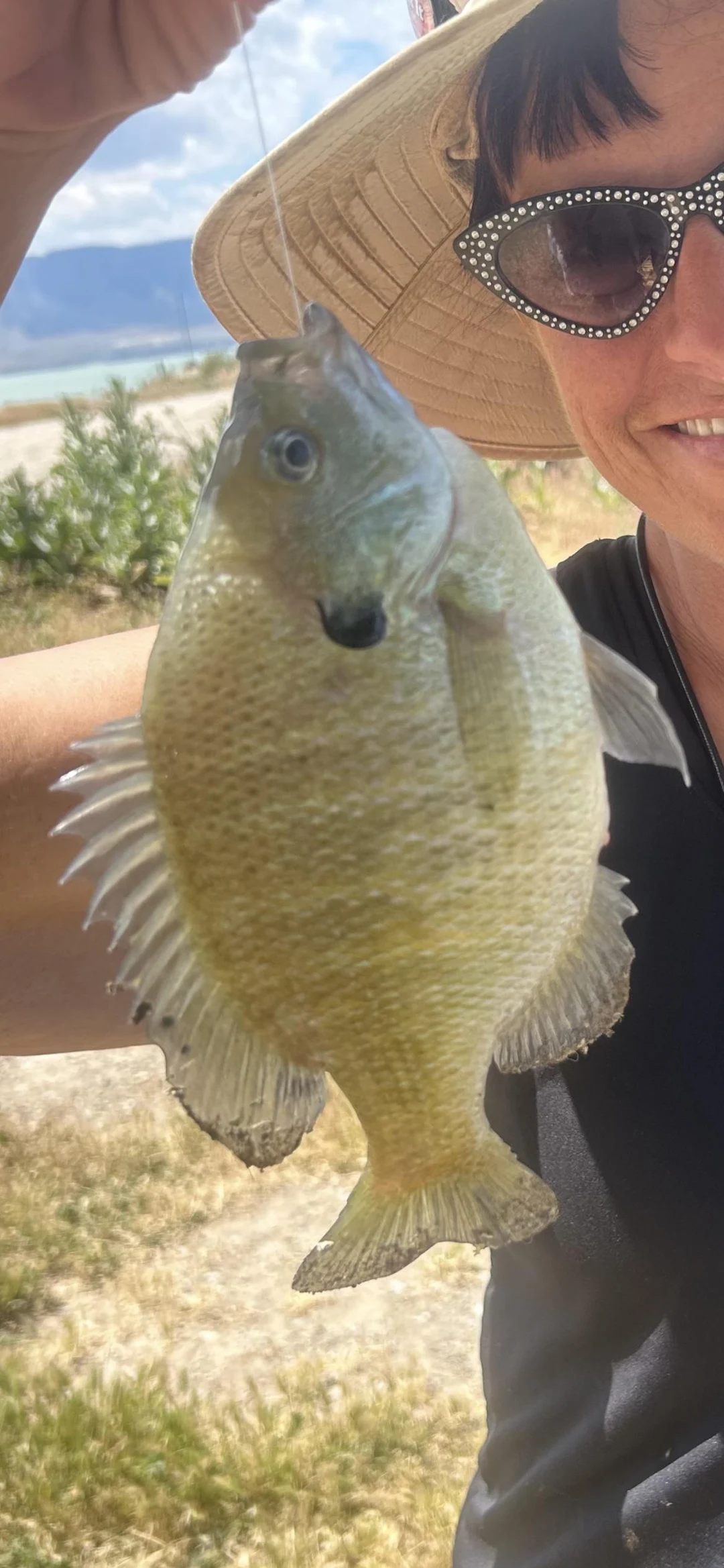 Bluegill? | Scrolller