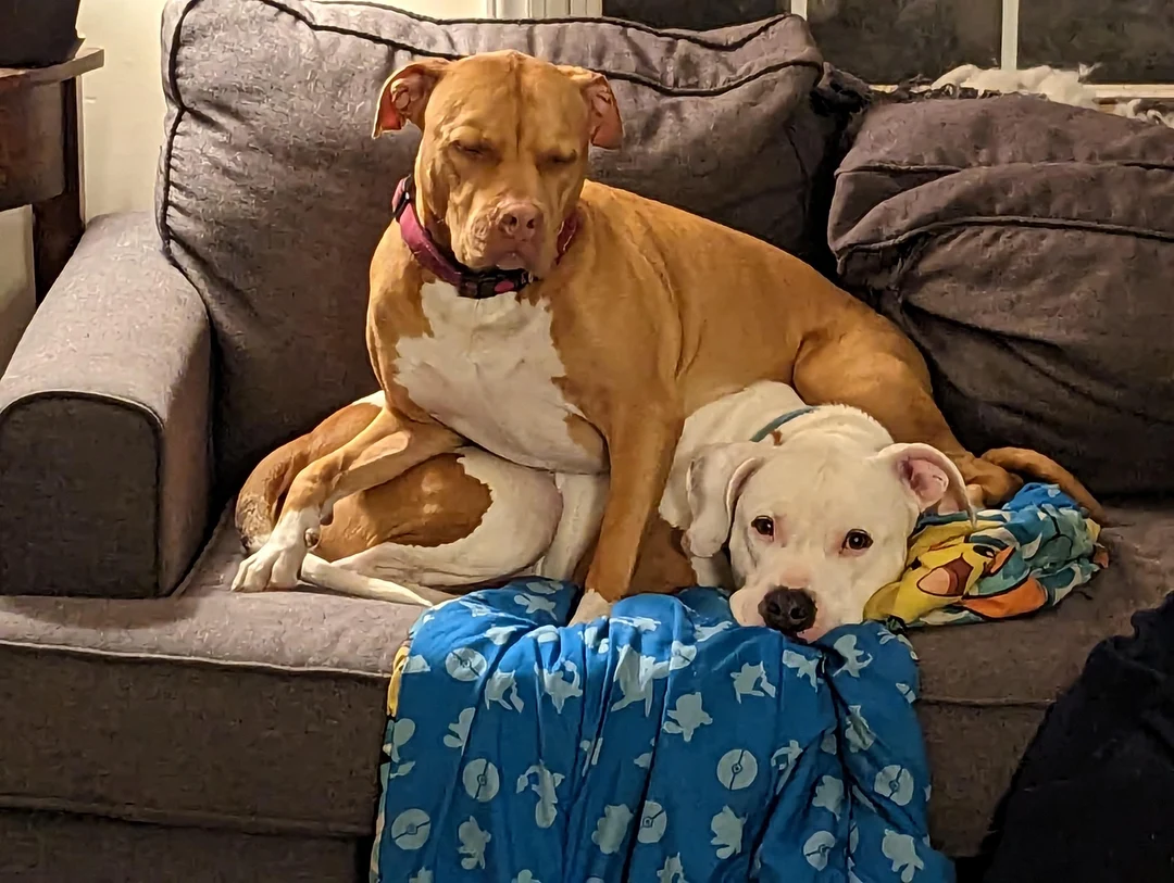 At least they get along. | Scrolller