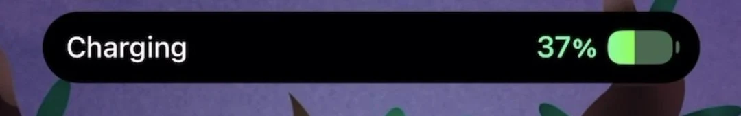 iPhone showing “now charging” every percent with new charger. | Scrolller