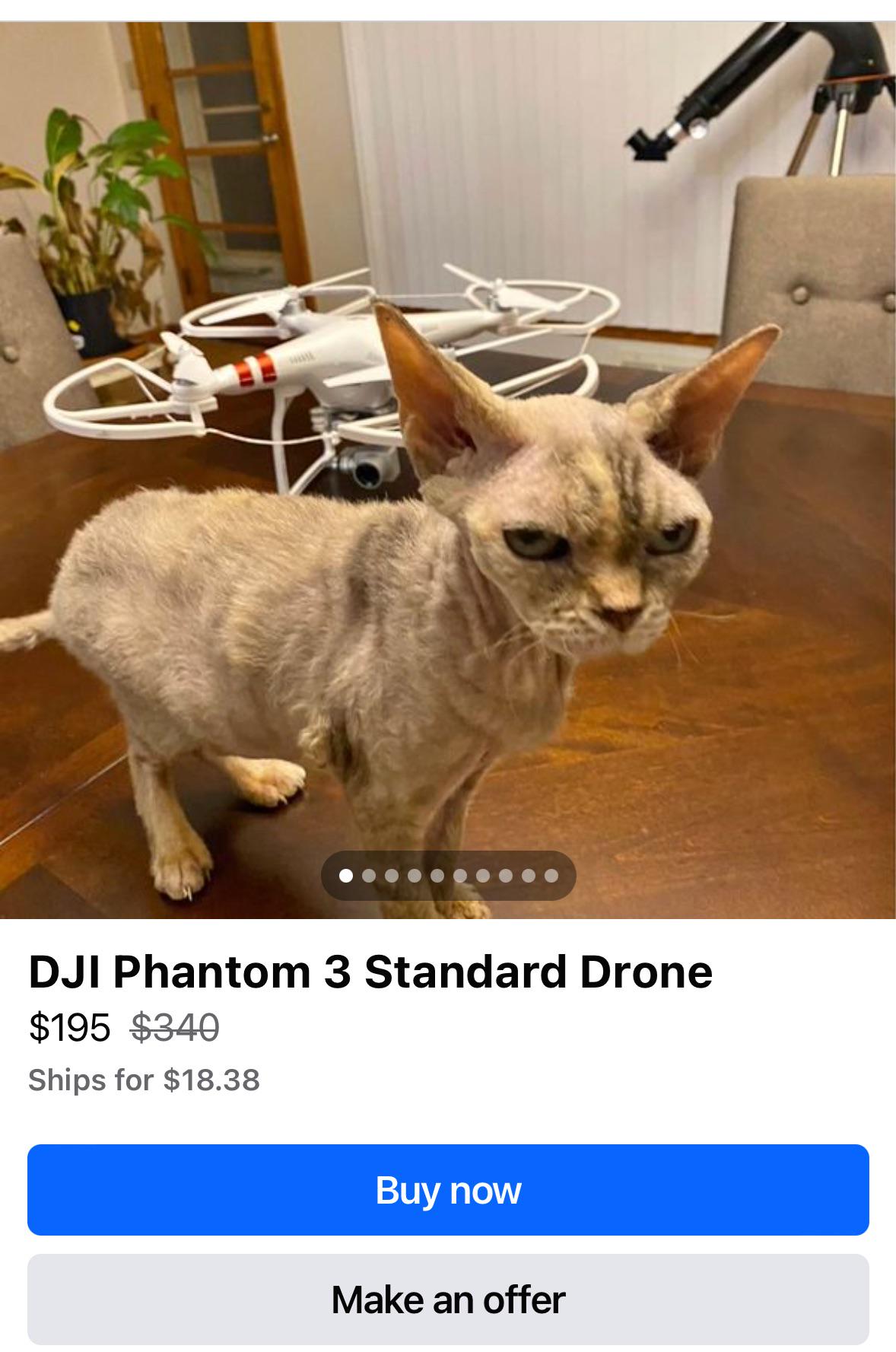 Saw this on my local Marketplace.. how much should I offer for the grumpy boi | Scrolller